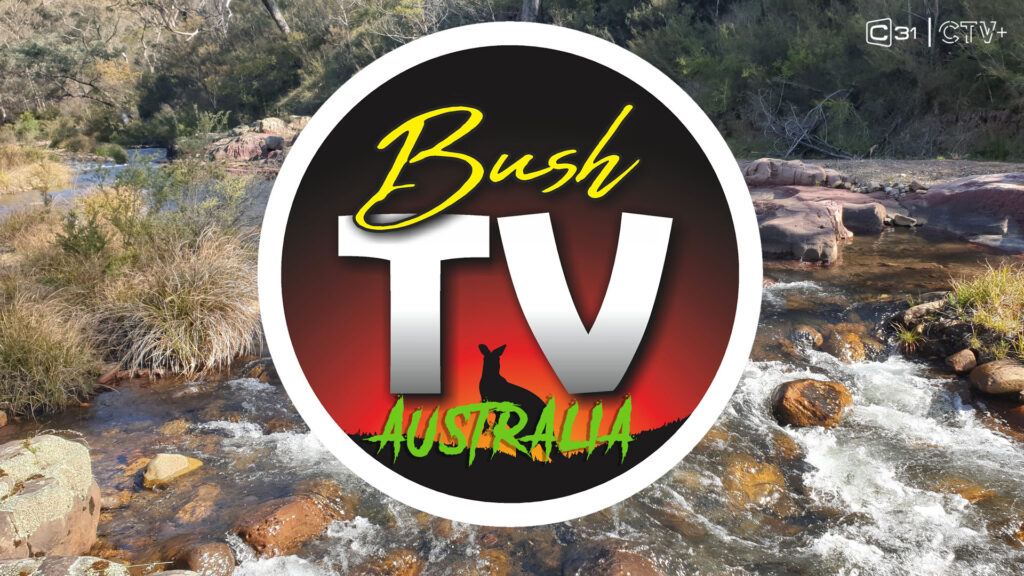 Bush TV Australia - CTV Plus Australia