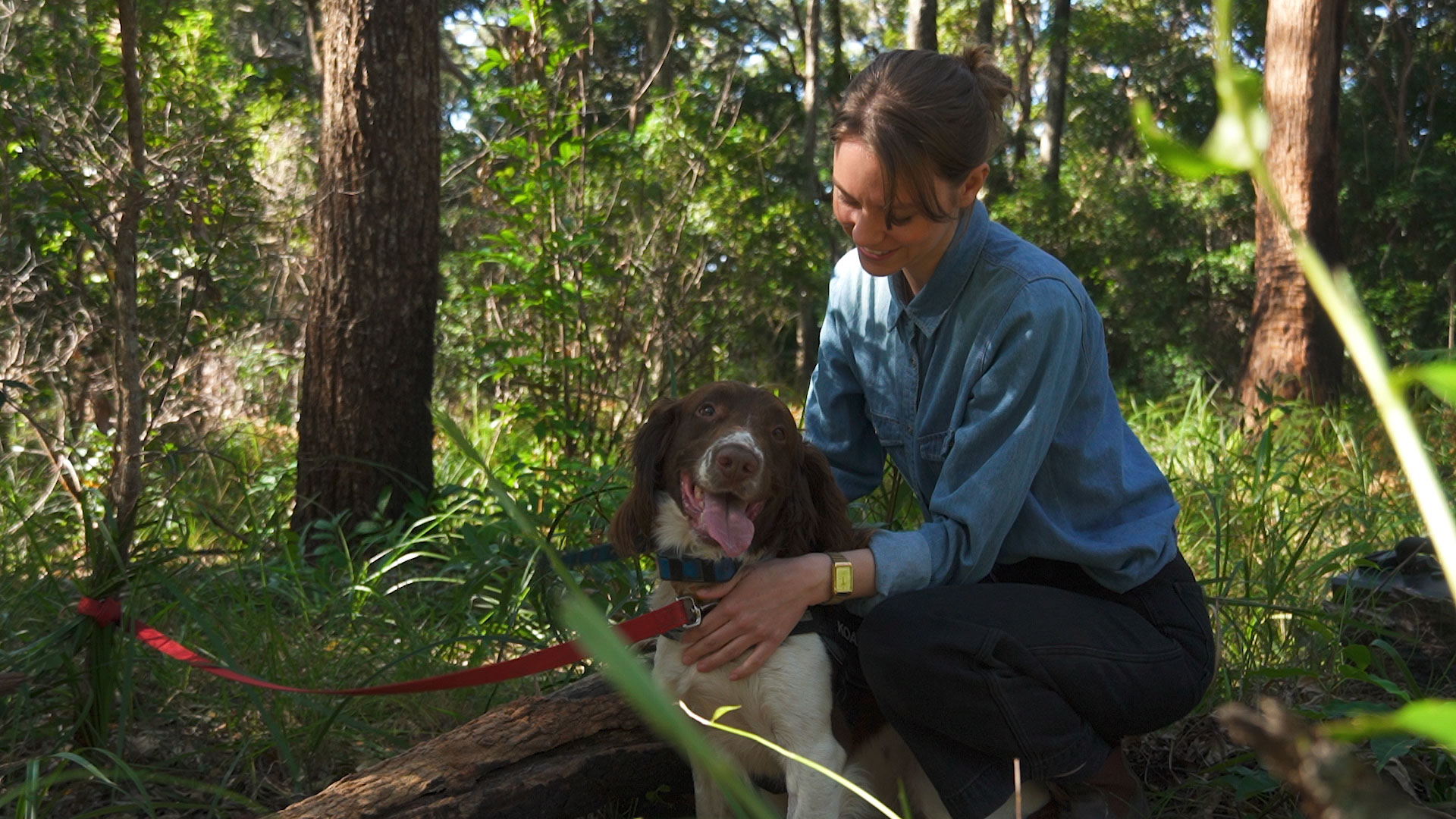Great Eastern Ranges - CTV Plus Australia