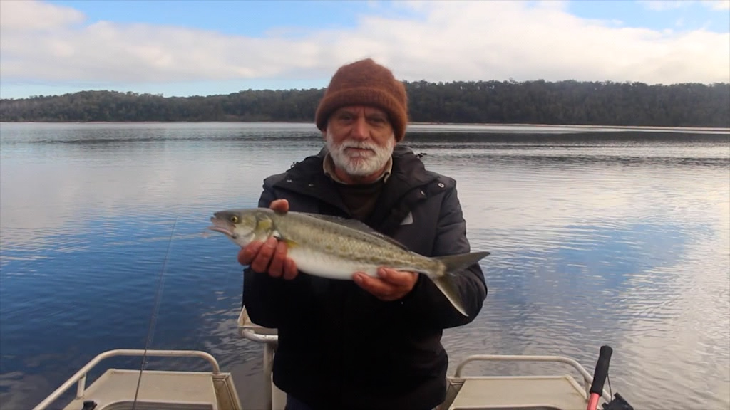 Tamboon - CTV Plus Australia