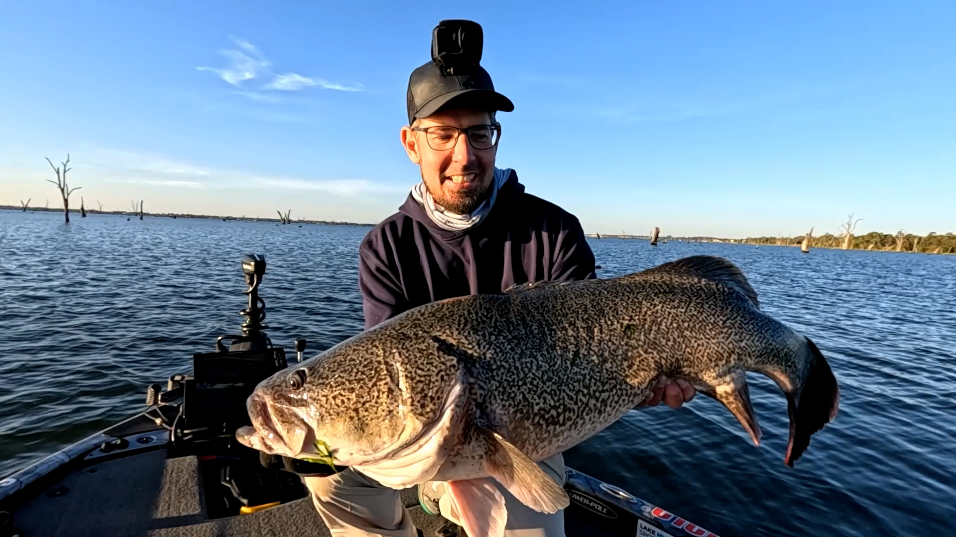 Chasing the Elusive Metery - CTV Plus Australia